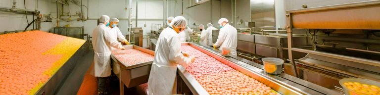 Food Safety Equipment Supplier Dubai- AAA Safe